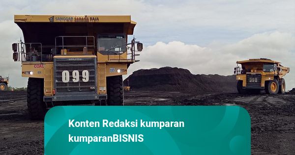 Adaro Targetkan Produksi Batu Bara 60 Juta Ton di 2022 | kumparan.com